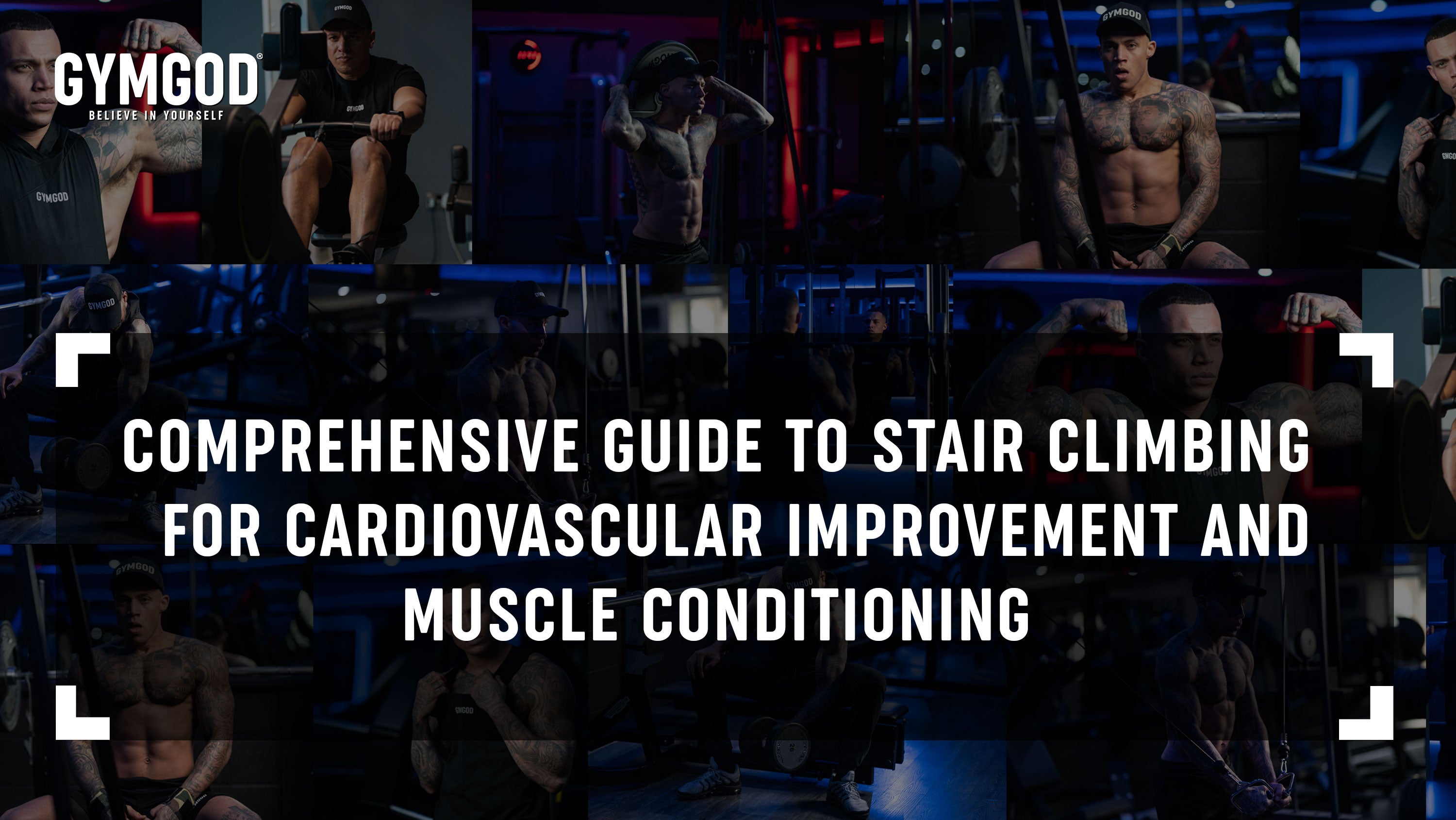 Comprehensive Guide to Stair Climbing for Cardiovascular Improvement a ...